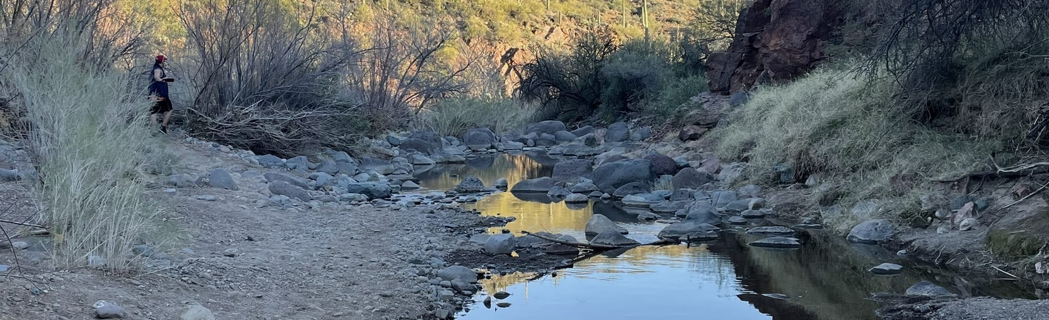 Limestone Trail and Elephant Mountain Trail Loop: 134 Reviews, Map ...