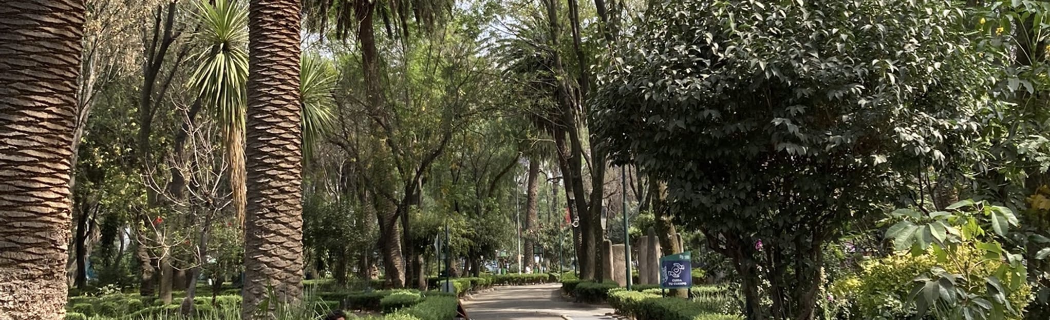 Parque las Americas, State of Mexico, Mexico - 5 Reviews, Map | AllTrails