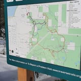 Vasa 25k Loop, Michigan - 157 Reviews, Map | AllTrails