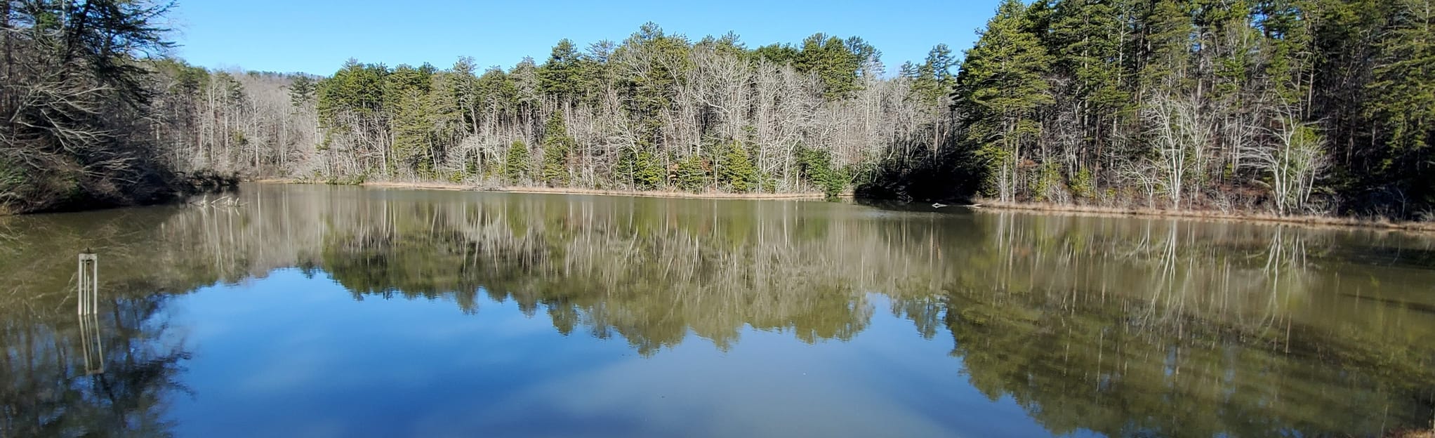 Oconee Station State Historic Site Trail: 101 Reviews, Map - South ...