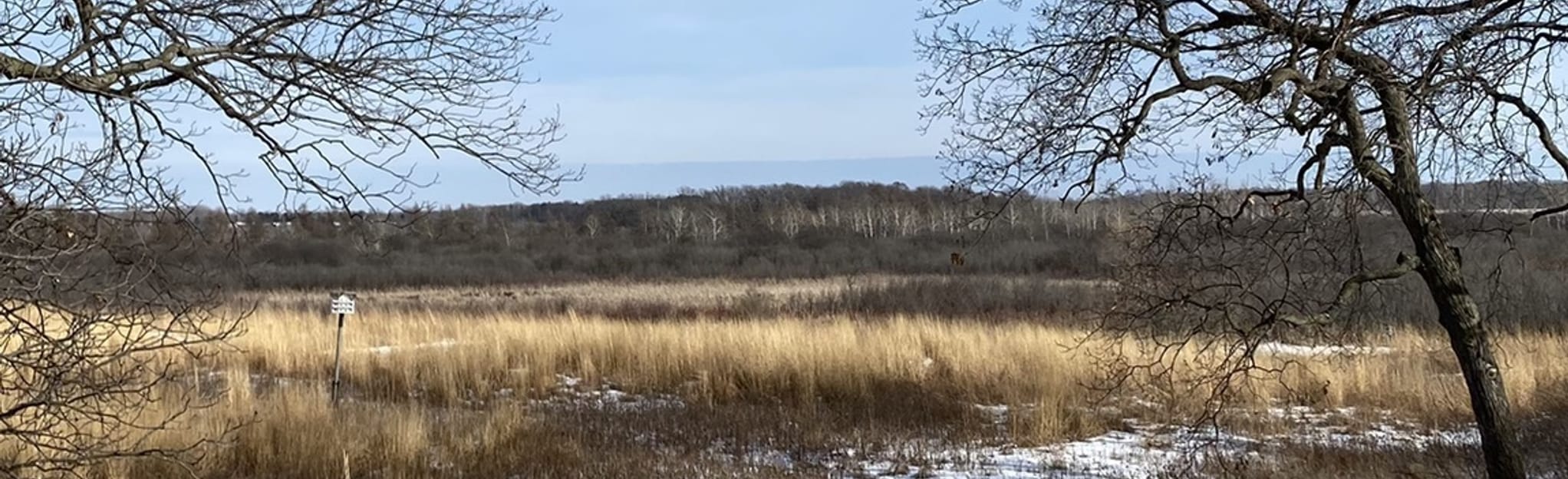 Four Seasons Nature Preserve Trail, Wisconsin - 19 Reviews, Map | AllTrails