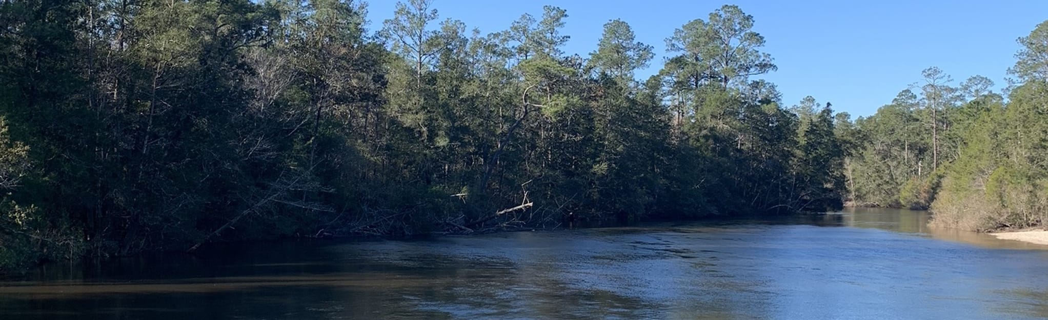 Blackwater River Trail, Florida - 131 Reviews, Map | AllTrails