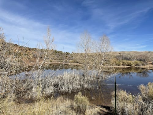 Best Hikes and Trails in Spring Mountain Ranch State Park | AllTrails