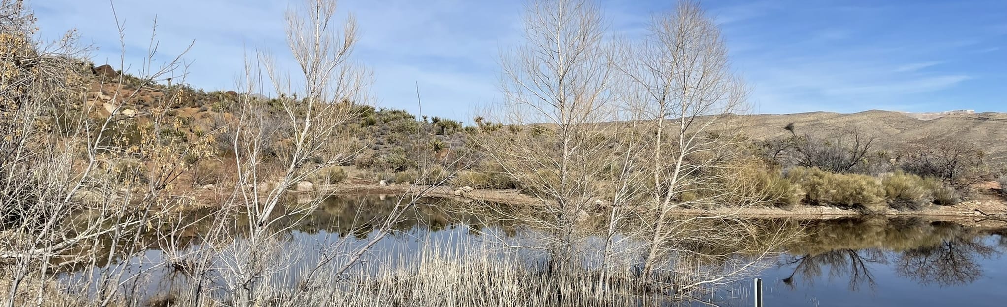 Sandstone Canyon Loop, Nevada - 423 Reviews, Map | AllTrails