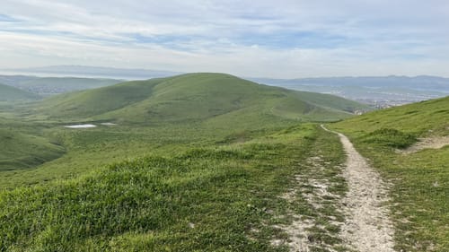 2023 Best 10 Trails and Hikes in San Ramon | AllTrails