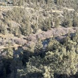 Fat Rabbit Loop Trail, Oregon - 374 Reviews, Map | AllTrails