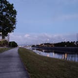New River Greenway, Florida - 91 Reviews, Map | AllTrails