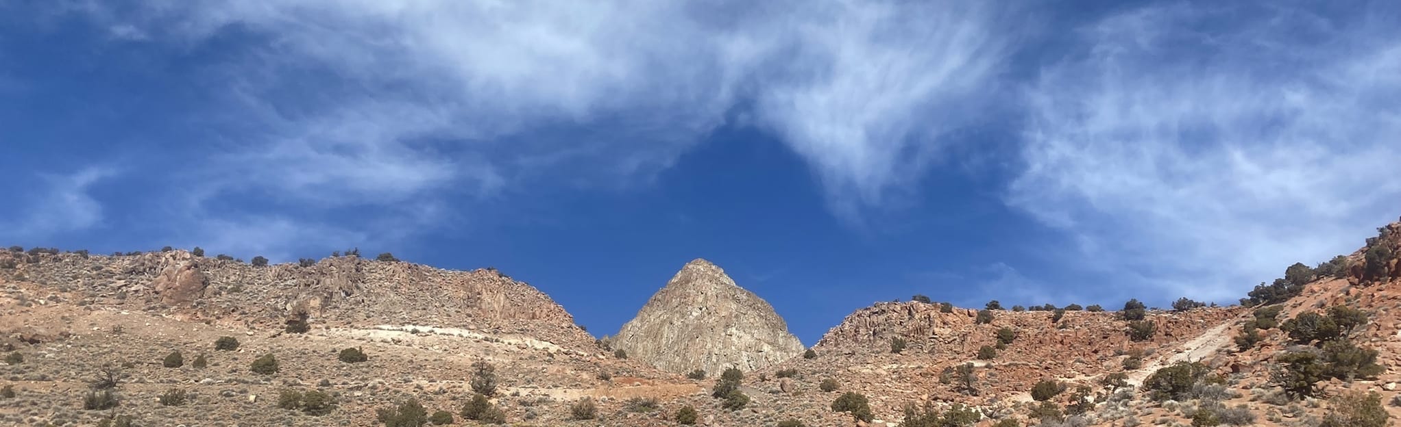 Monkey Condos, Nevada - 117 Reviews, Map | AllTrails