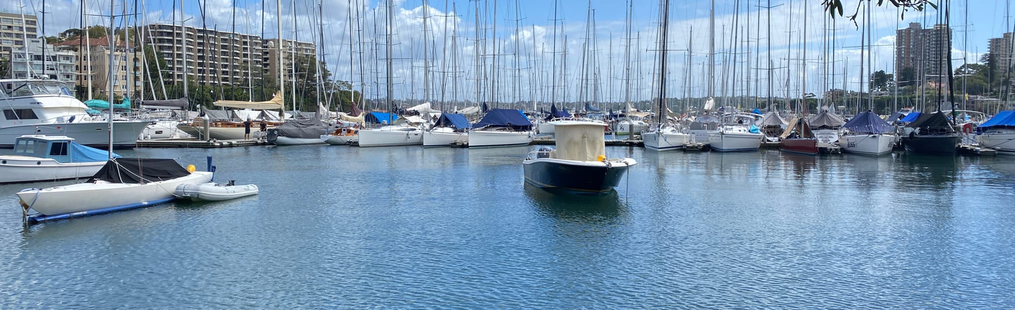 Rushcutters Bay Foreshore Walk, New South Wales, Australia - 64 Reviews ...