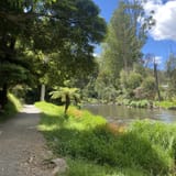 Warburton River Walk, Victoria, Australia - 188 Reviews, Map | AllTrails