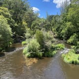 Warburton River Walk, Victoria, Australia - 188 Reviews, Map | AllTrails