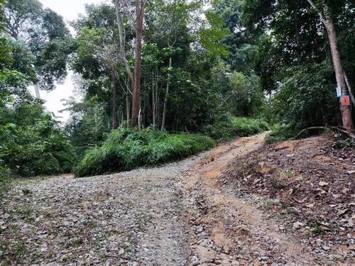 10 Best Trails and Hikes in Dengkil | AllTrails