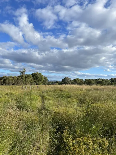 Best Hikes and Trails in Aranda Bushland Nature Reserve | AllTrails