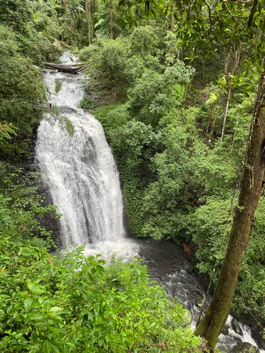 2023 Best 10 Trails and Hikes in Border Ranges | AllTrails