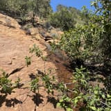 Wonderboom Hiking Trail, Gauteng, South Africa - 129 Reviews, Map ...