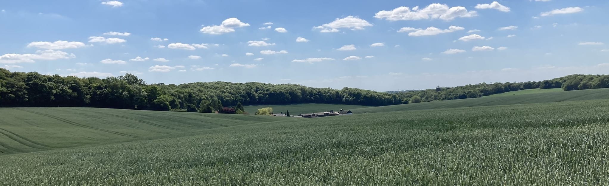 Caddington Circular, Bedfordshire, England - 5 Reviews, Map | AllTrails