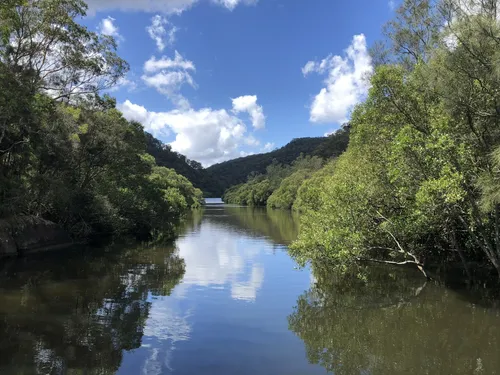 10 Best Hikes and Trails in Berowra Valley National Park | AllTrails
