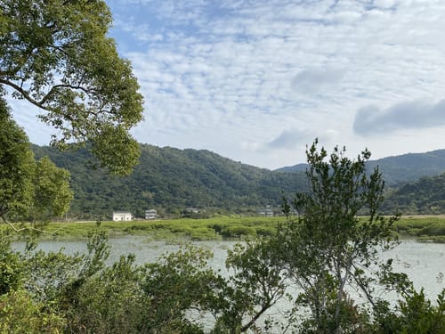 2023 Best 10 Forest Trails in Tai Po | AllTrails