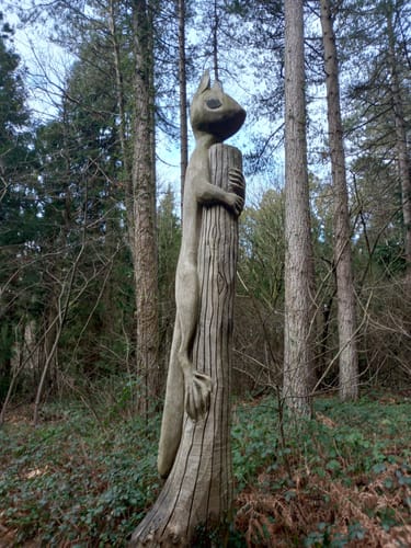 Best Hikes and Trails in Parkhurst Forest | AllTrails