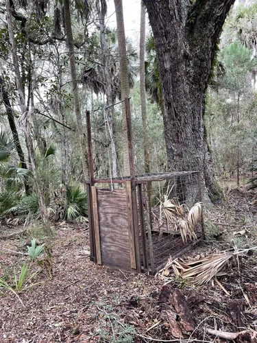 Best Hikes and Trails in Econfina River State Park | AllTrails