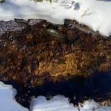 Monson Community Loop, New Hampshire - 249 Reviews, Map | AllTrails