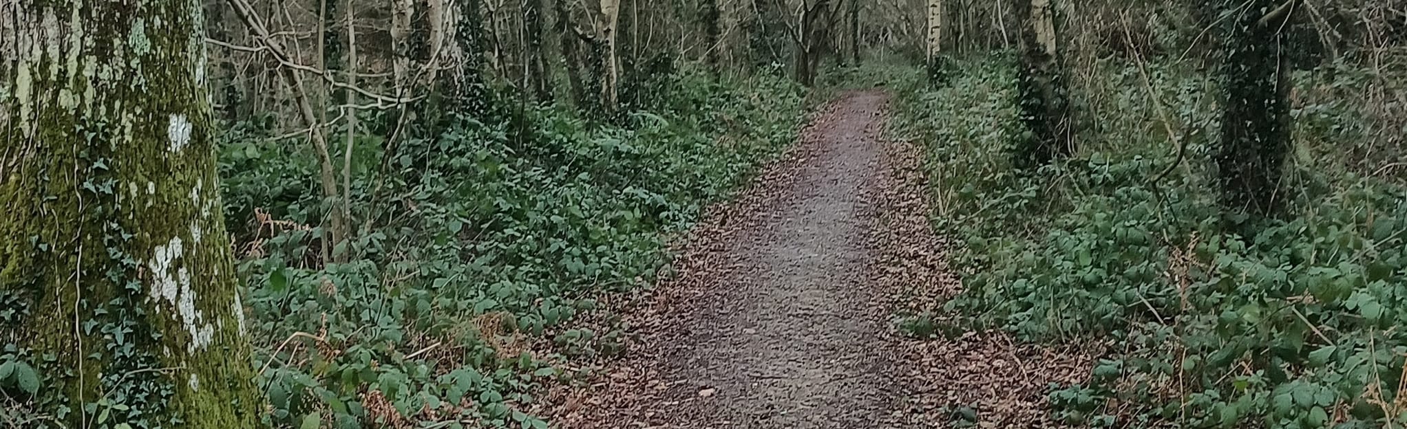 Fordingbridge Circular: 17 Reviews, Map - Hampshire, England | AllTrails