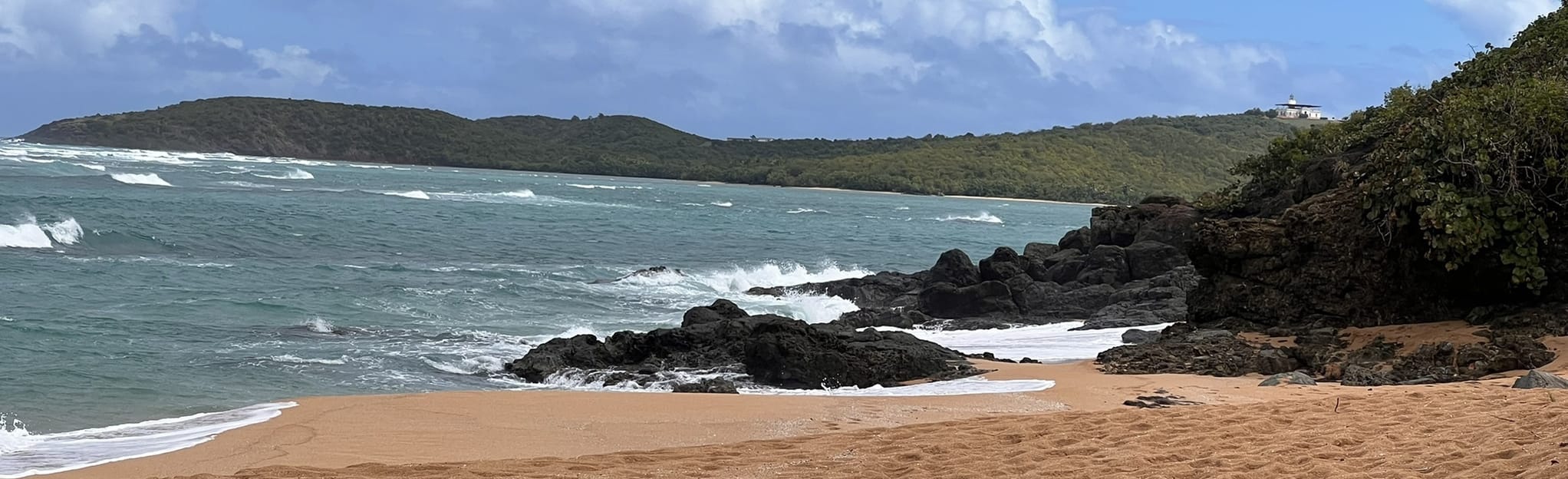 Seven Seas to Playa Colorá and Playa Escondida: 361 foto's - East ...