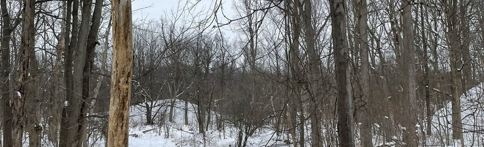 East West Pathway, Michigan - 86 Reviews, Map | AllTrails