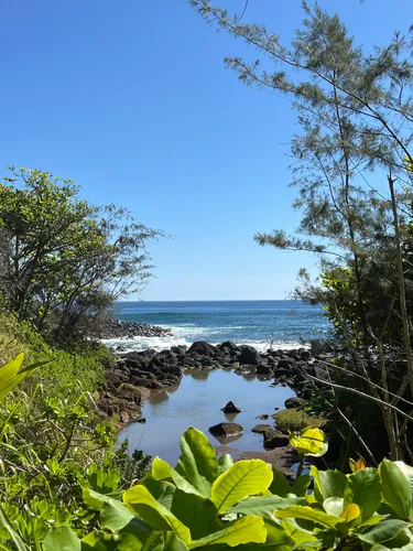 10 Best Trails and Hikes in Kapaʻa | AllTrails