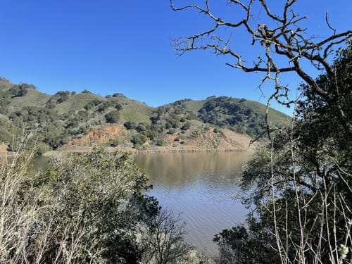 Best Hikes and Trails in Uvas Reservoir Park | AllTrails