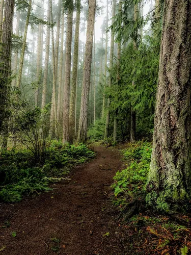 Best Hikes and Trails in Miller Peninsula State Park | AllTrails