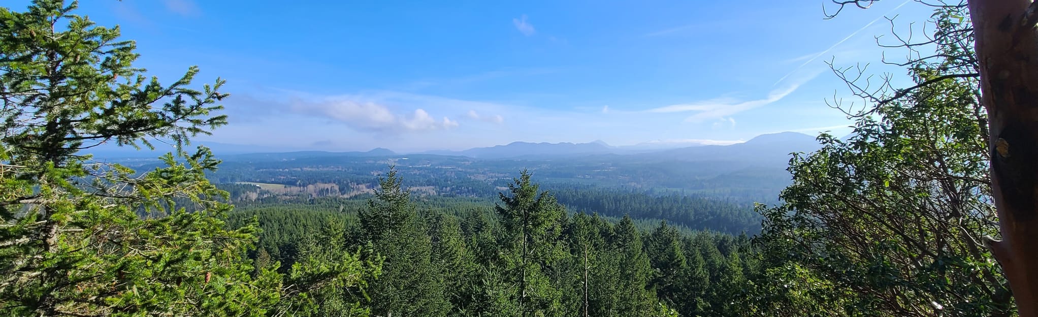 Little Mountain Loop: 53 Reviews, Map - British Columbia, Canada ...