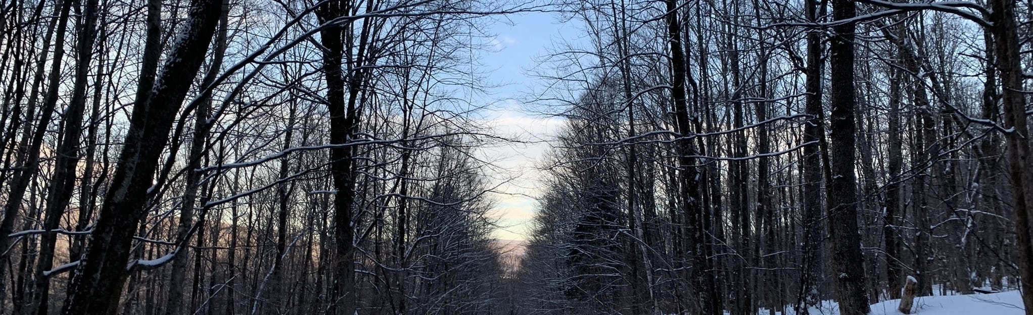 Freedley Quarry via Trail 6, Vermont - 247 Reviews, Map | AllTrails