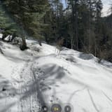 Mount Kit Carson Loop Road, Trail 140 and Trail 110 Loop, Washington ...