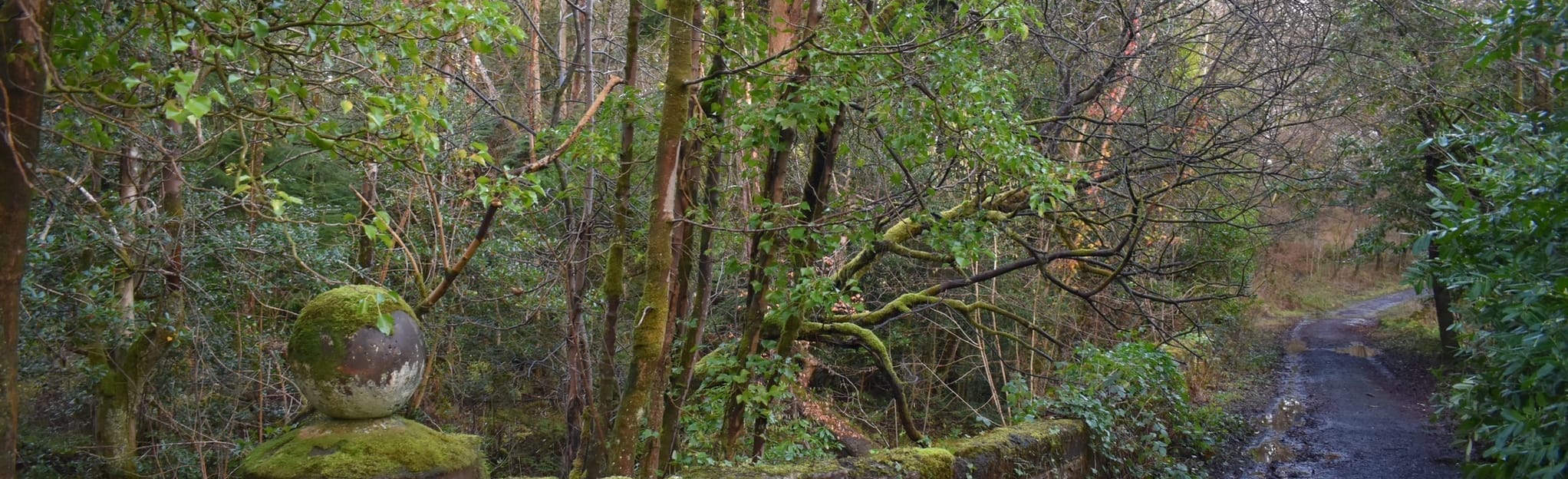 Cardross - Kilmahew Castle Circular: 15 Reviews, Map - West ...