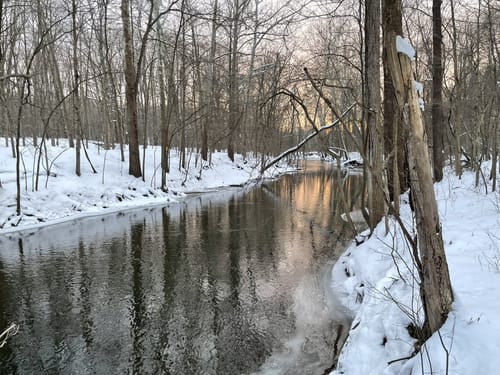 Best Hikes and Trails in Dolan Nature Preserve | AllTrails