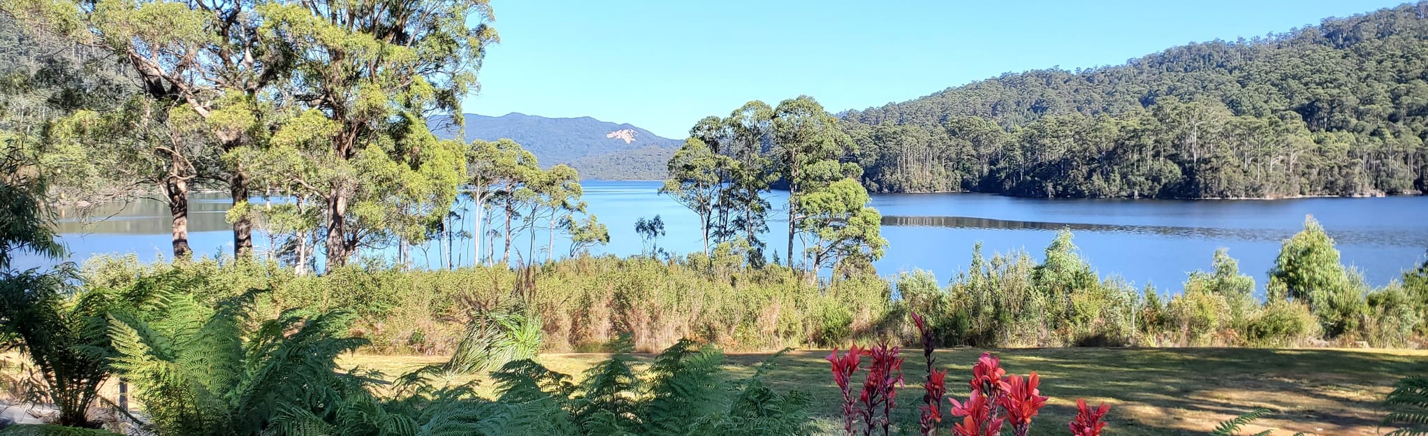 Tullah Lakeside Walk: 10 Reviews, Map - Tasmania, Australia | AllTrails