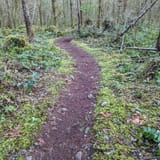 Putnam Loop, Washington - 109 Reviews, Map | AllTrails