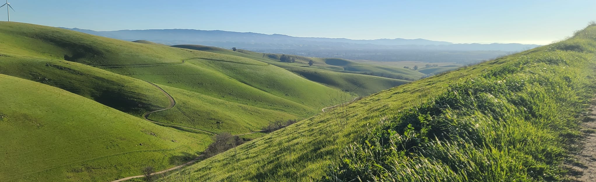 West Side Loop Trail to Brushy Peak Loop Trail: 995 Reviews, Map ...