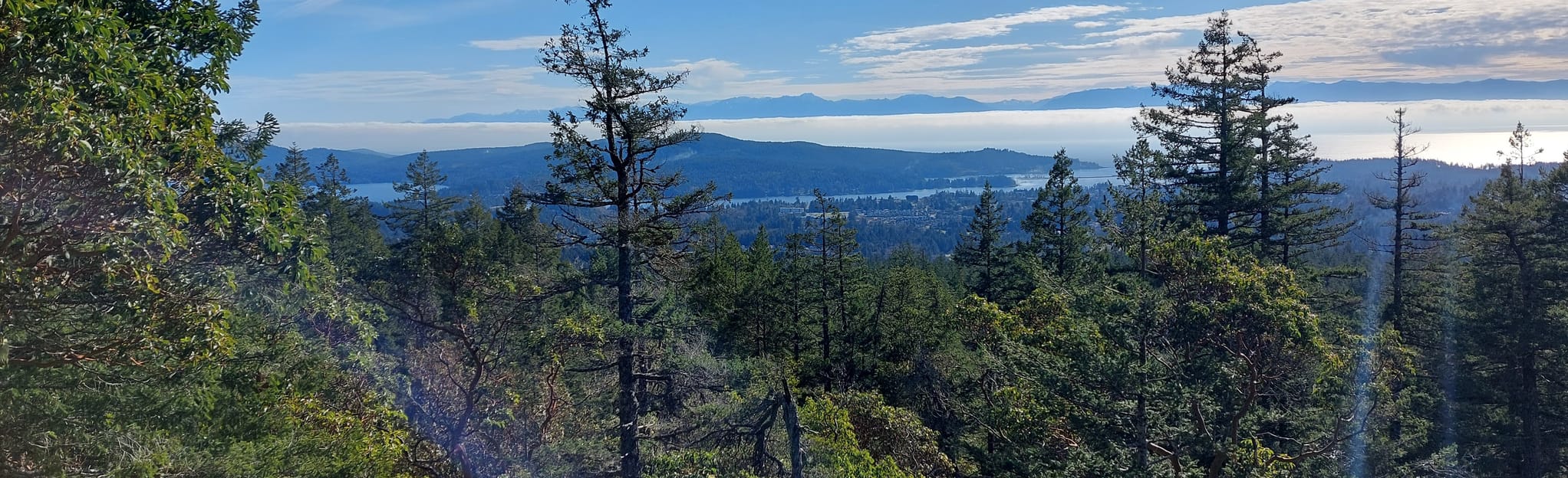 Woodpecker to Sids View Point trail, British Columbia, Canada - 2 ...