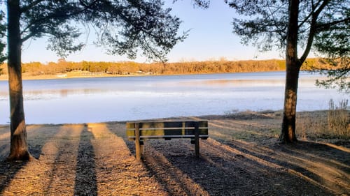 Best Hikes and Trails in Bonham State Park | AllTrails