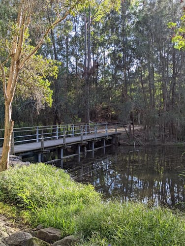 Best Hikes and Trails in Rocks Riverside Park | AllTrails