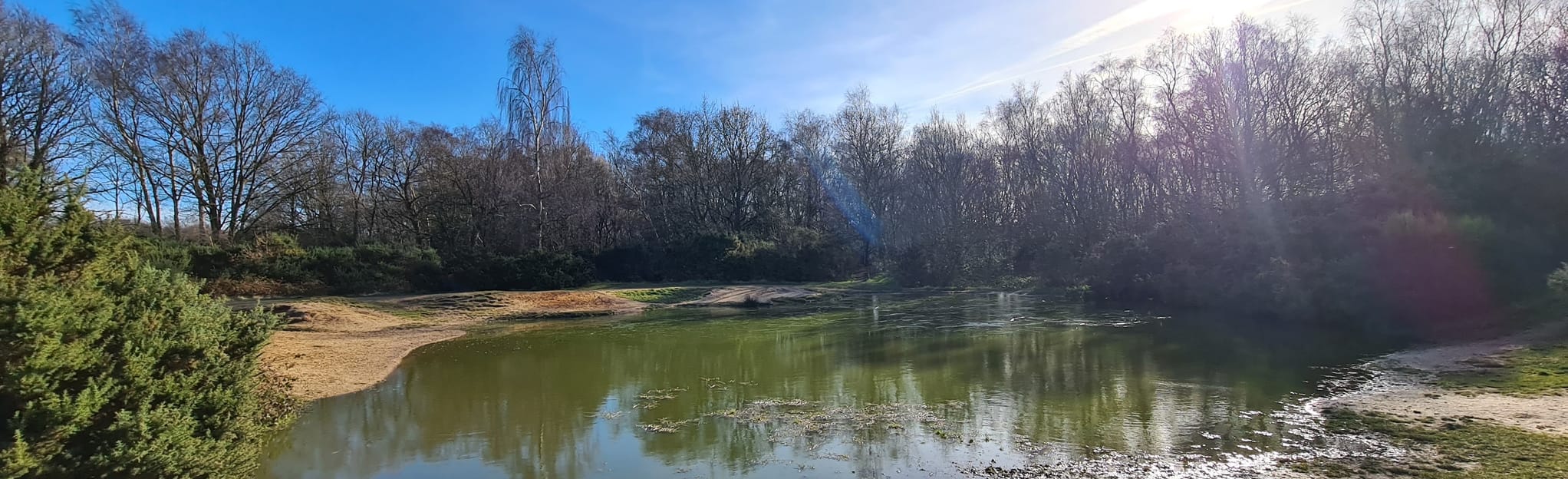 Mousehold Heath and Vinegar Pond, Norfolk, England - 25 Reviews, Map ...