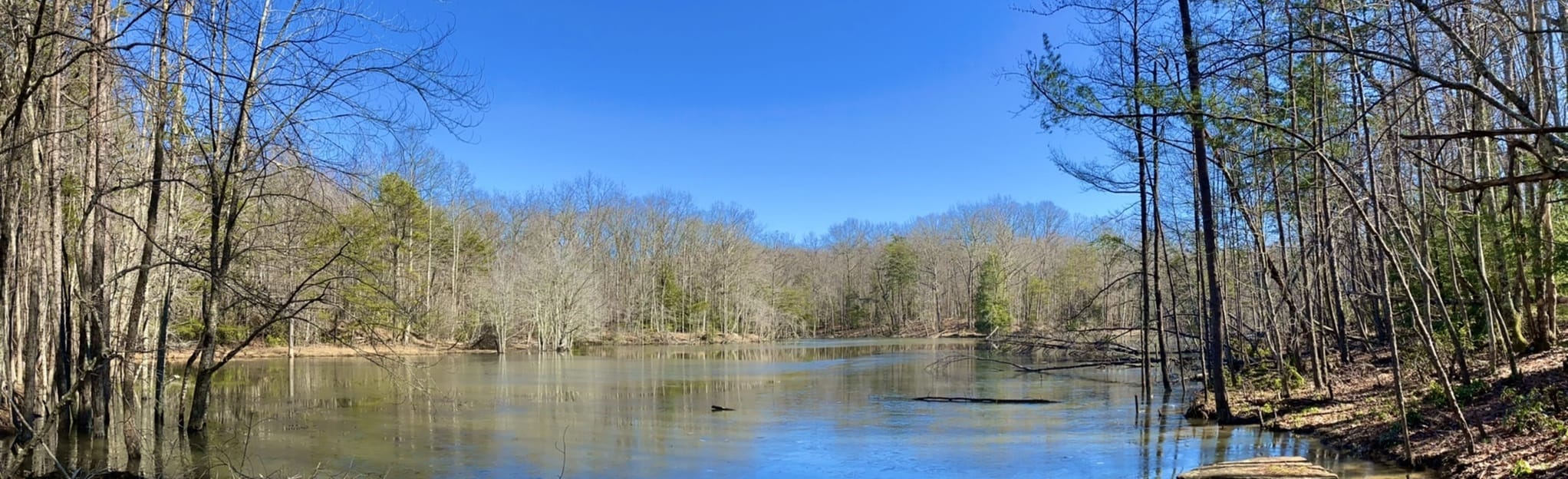 Deer Gap via A Trail: 68 Reviews, Map - Tennessee | AllTrails