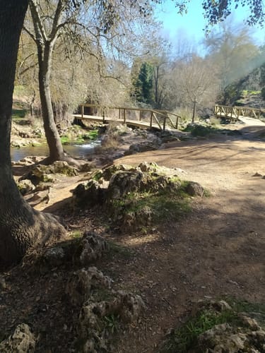 Best 10 Hikes and Trails in Sierra Norte de Sevilla Nature Park | AllTrails