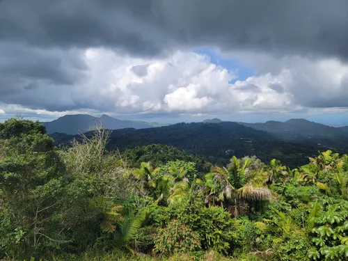 Best Hikes and Trails in Toro Negro State Forest | AllTrails