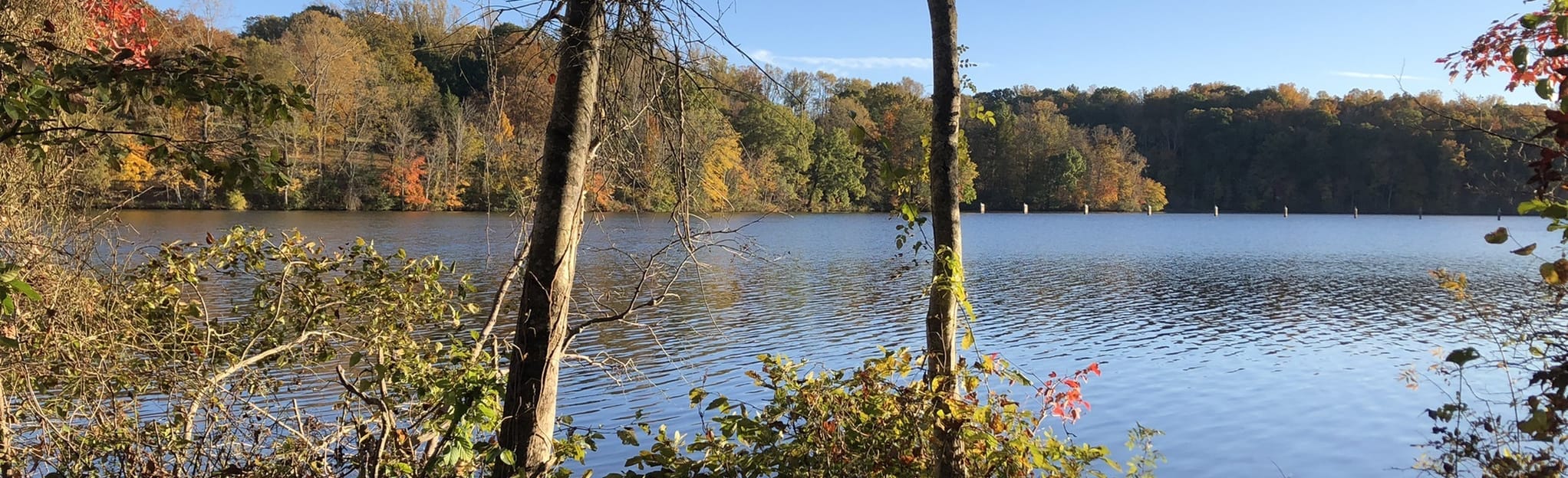 Bald Eagle Trail to Lake Higgins, North Carolina - 442 Reviews, Map ...