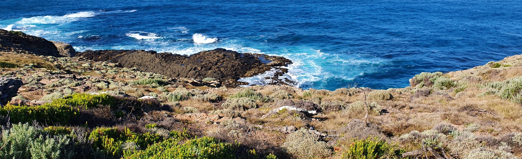 Cape Nelson West Loop | Map, Guide - Victoria, Australia | AllTrails