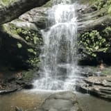 Numantia Falls, New South Wales, Australia - 105 Reviews, Map | AllTrails