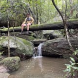 Numantia Falls, New South Wales, Australia - 105 Reviews, Map | AllTrails